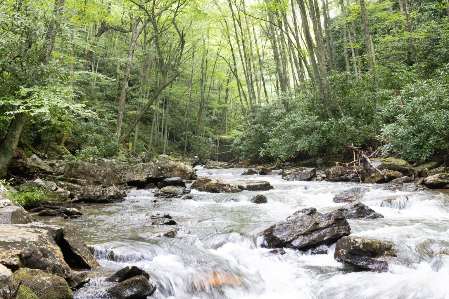 Hiking to Cascade Falls - realmccoycabins.com